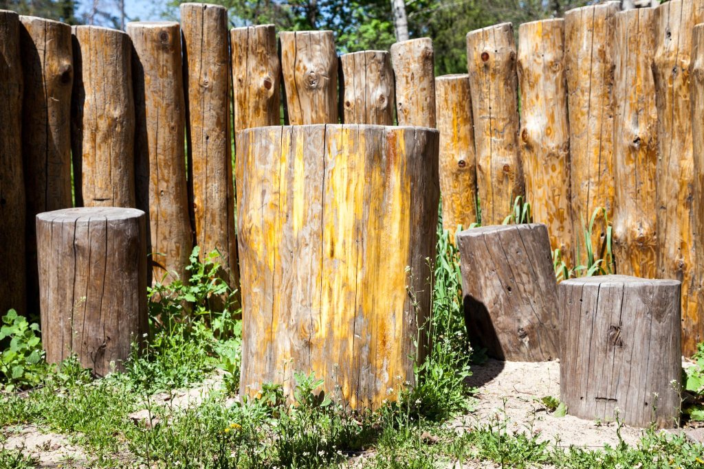 20+ Amazing Tree Stump Art Ideas to Beautify Your Outdoor Space ...