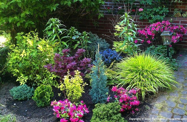 21 Fabulous Rock Garden Ideas to Inspire [With Pictures] - EatHappyProject