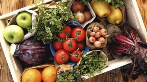 Exploring List of Food Categories: 7 Varieties for a Perfect Nutrition ...