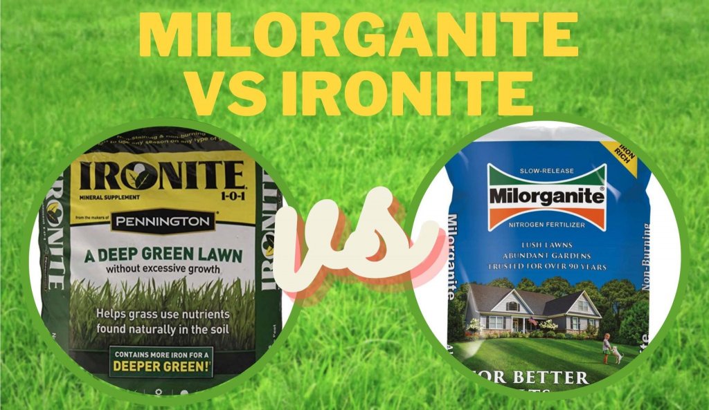 Milorganite Vs Ironite: What to Use on Your Lawn? - EatHappyProject