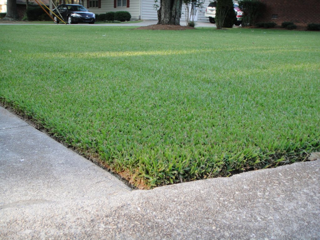 How to Lay A Sod? The Ultimate Guide - EatHappyProject