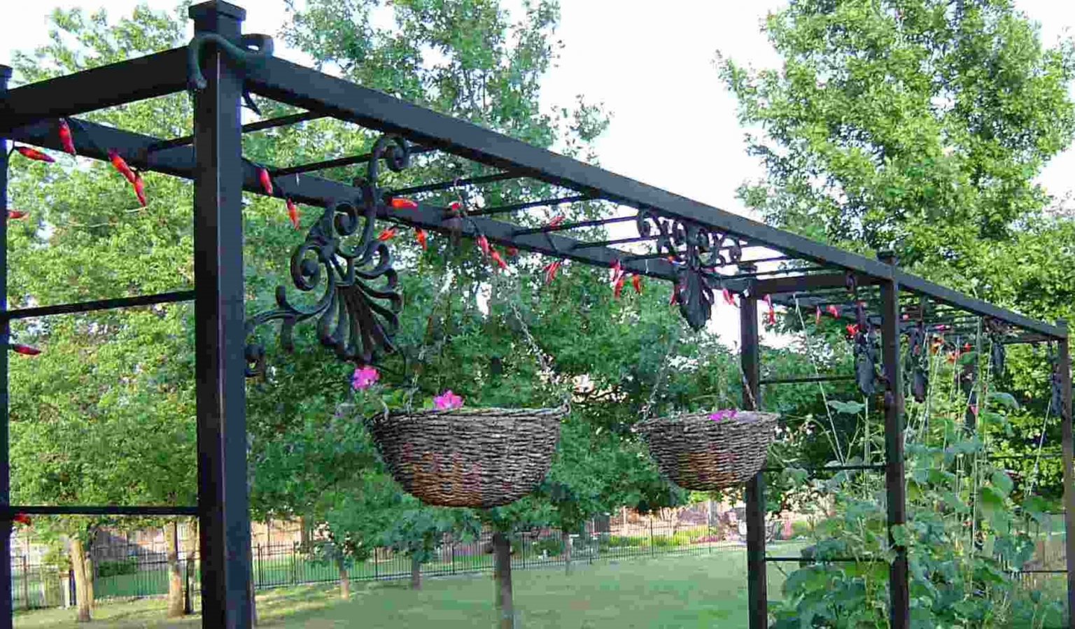 15 Stunning Grapevine Trellis Designs for Your Backyard Arbor ...