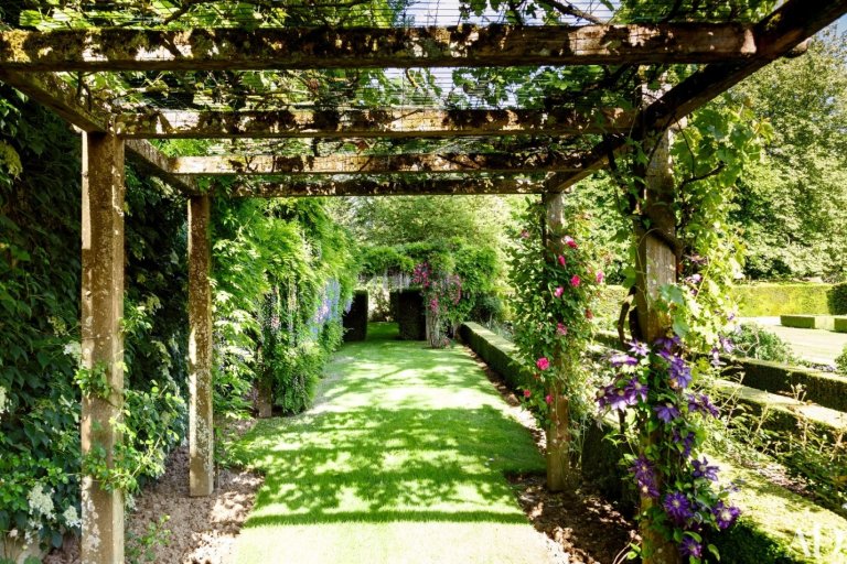 15 Stunning Grapevine Trellis Designs for Your Backyard Arbor ...