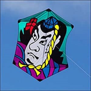 8 Different Types of Kites and Flying Techniques - EatHappyProject