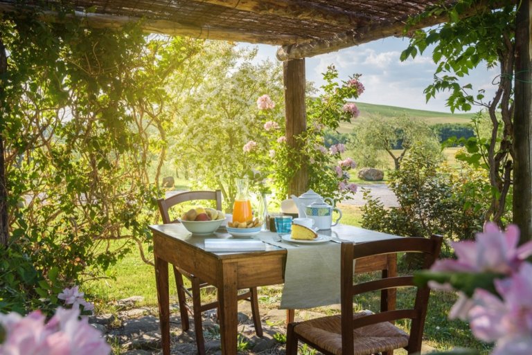 15 Stunning Grapevine Trellis Designs for Your Backyard Arbor ...