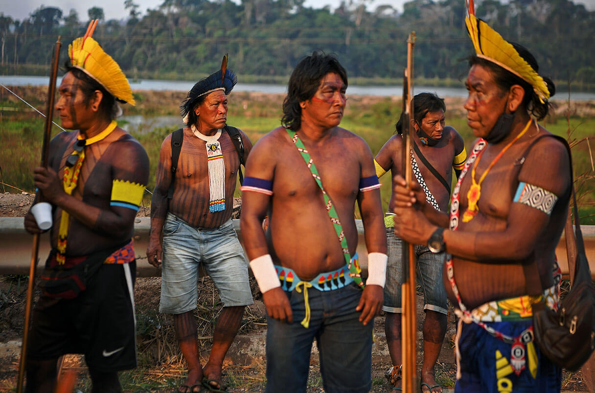 What is the Rainforest Famous For? - EatHappyProject