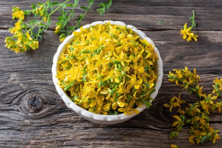 What Spice Has Yellow Flowers? - EatHappyProject