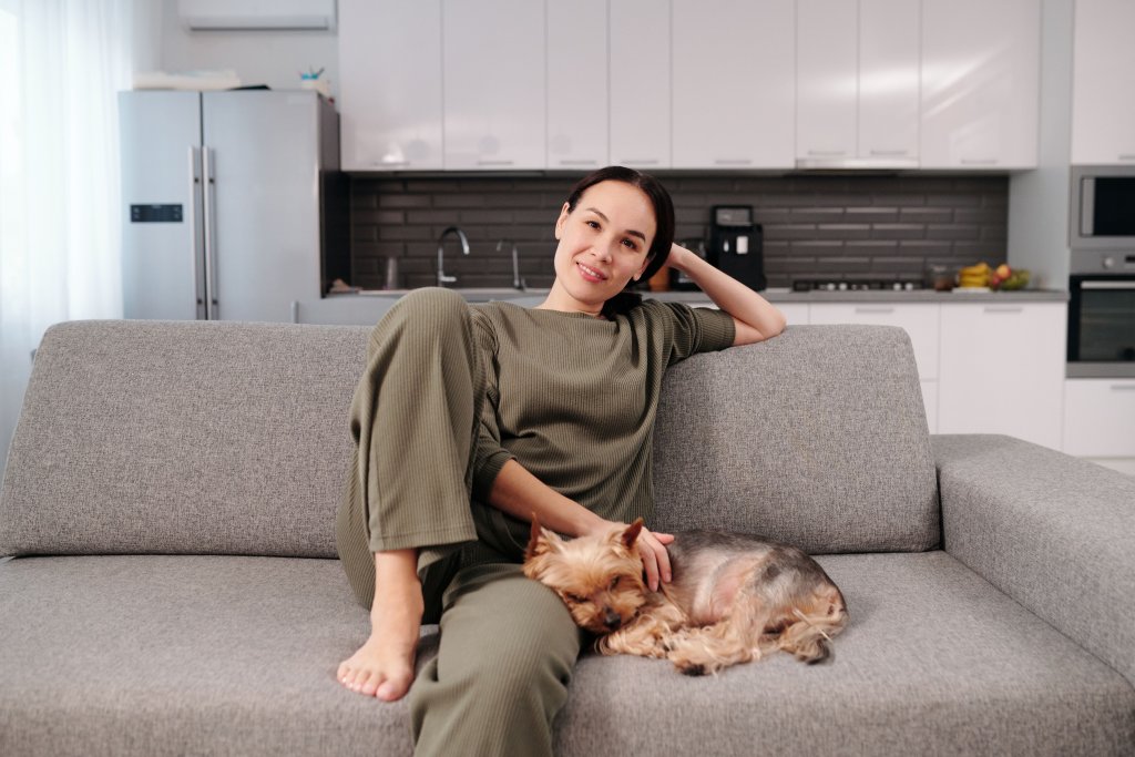 What Makes a Sofa Bed a Worthwhile Investment for Everyday Living ...